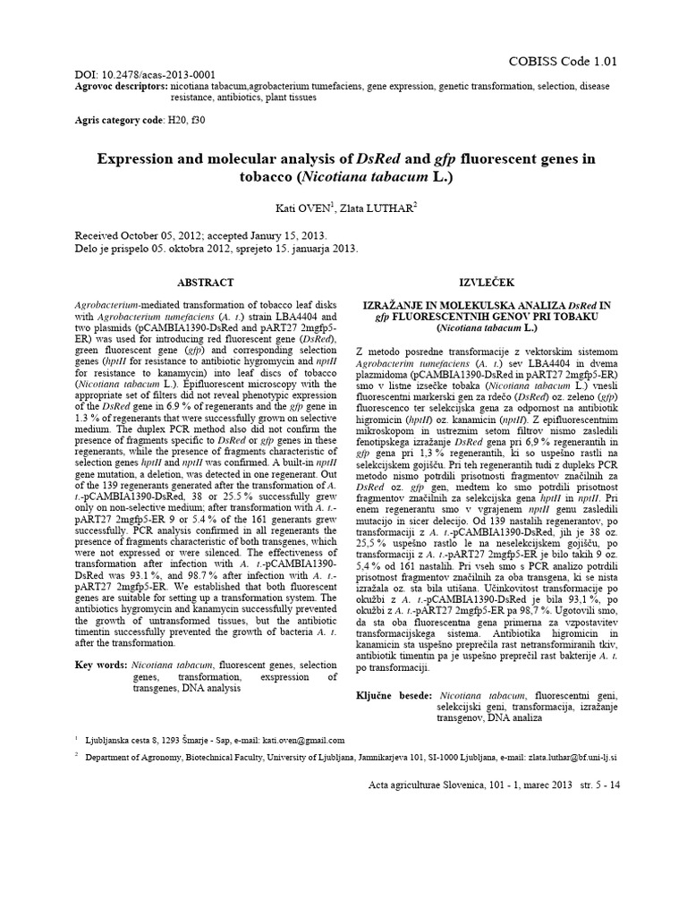 Expression and Molecular Analysis of Dsred and GFP Fluorescent Genes in ...