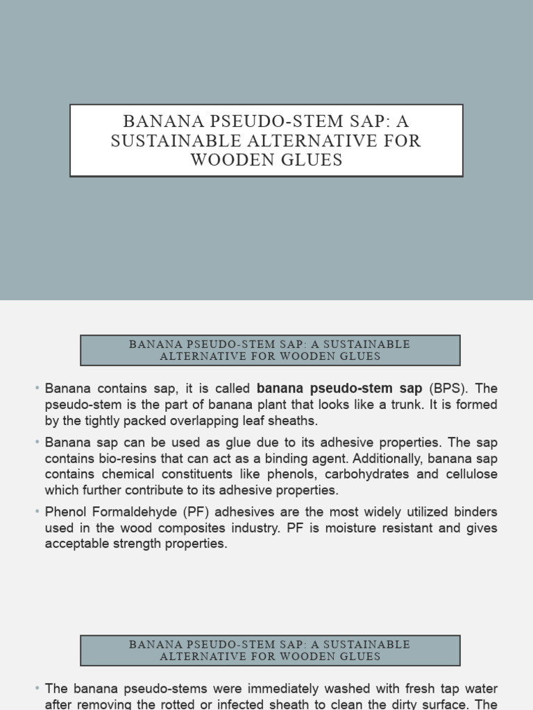 Banana Pseudo Stem Sap | PDF | Cooking, Food & Wine