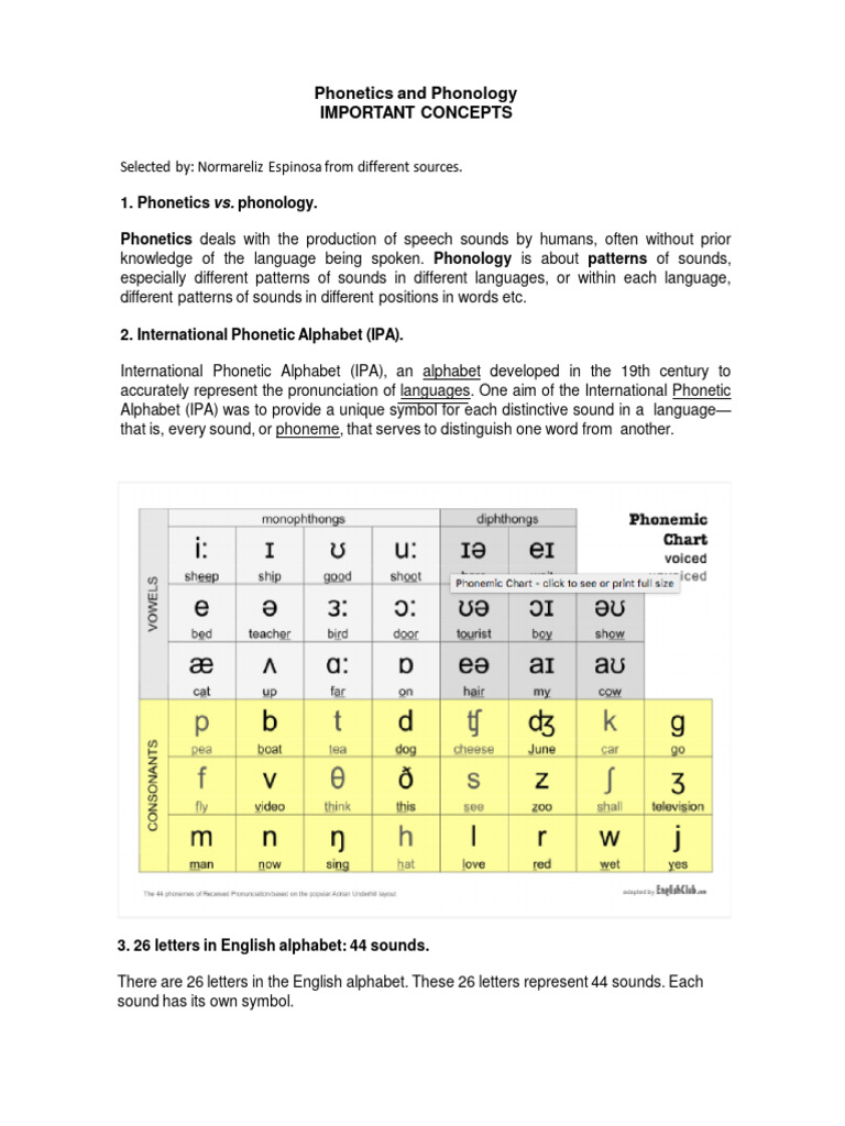 Concepts Phonetics | PDF | Vowel | Consonant