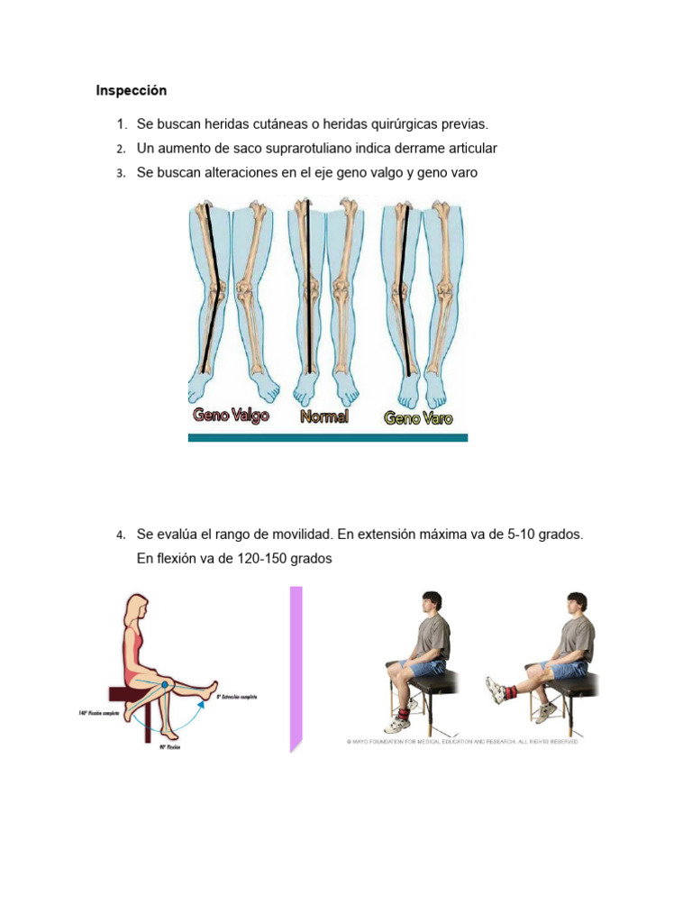 Exploración Física de la Rodilla | PDF | Rodilla | Anatomía humana