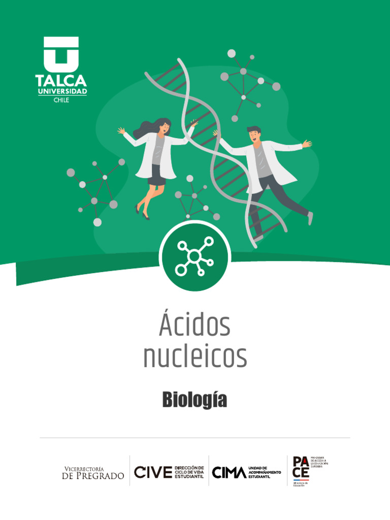 Ácidos Nucleicos 3 | PDF | Nucleótidos | Rna