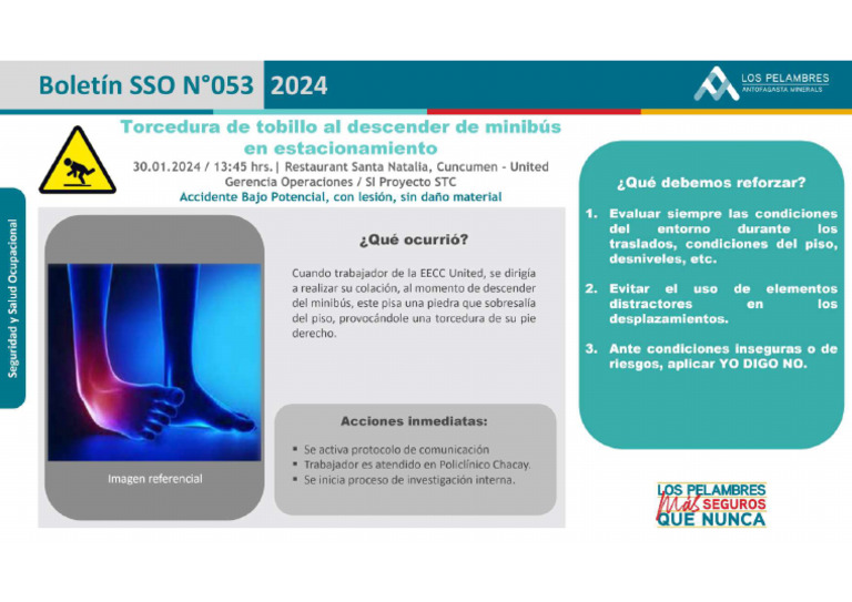 Boletin SSO N°053 | PDF