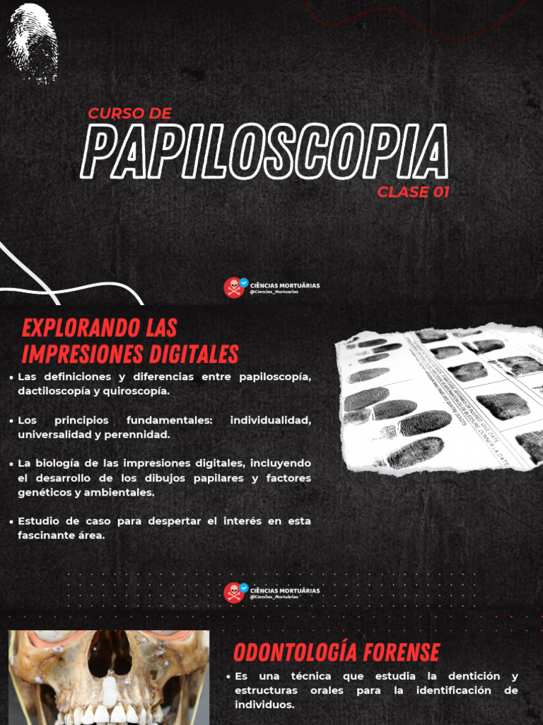 Clase 1 - Papiloscopia Forense | PDF | Huella dactilar