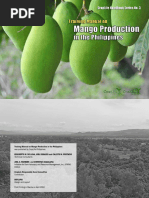 Mango Production in the Philippines 2024 | PDF | Mango | Grafting
