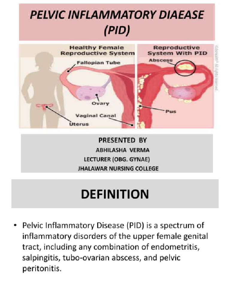 Female reproductive system | PDF