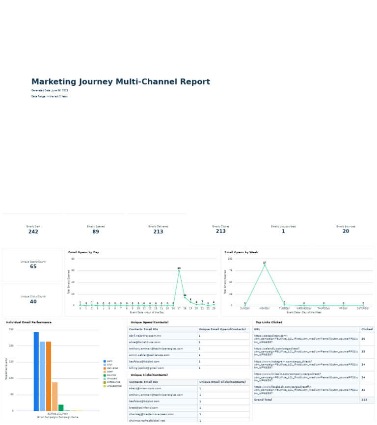 Marketing Journey Multi-Channel Report | PDF