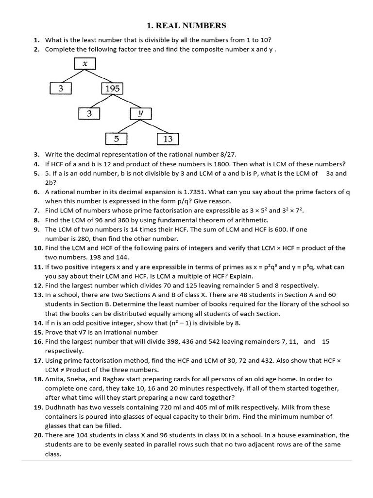Real Numbers | PDF | Numbers | Factorization
