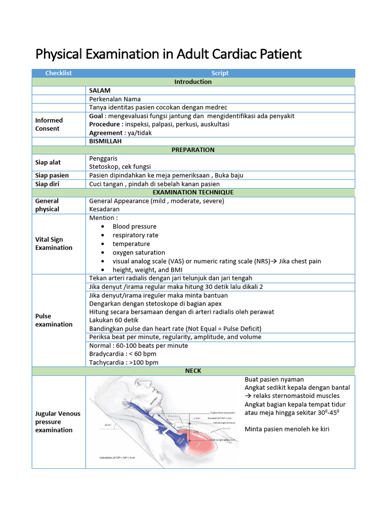 Physical Examination in Adult Cardiac Patient | PDF
