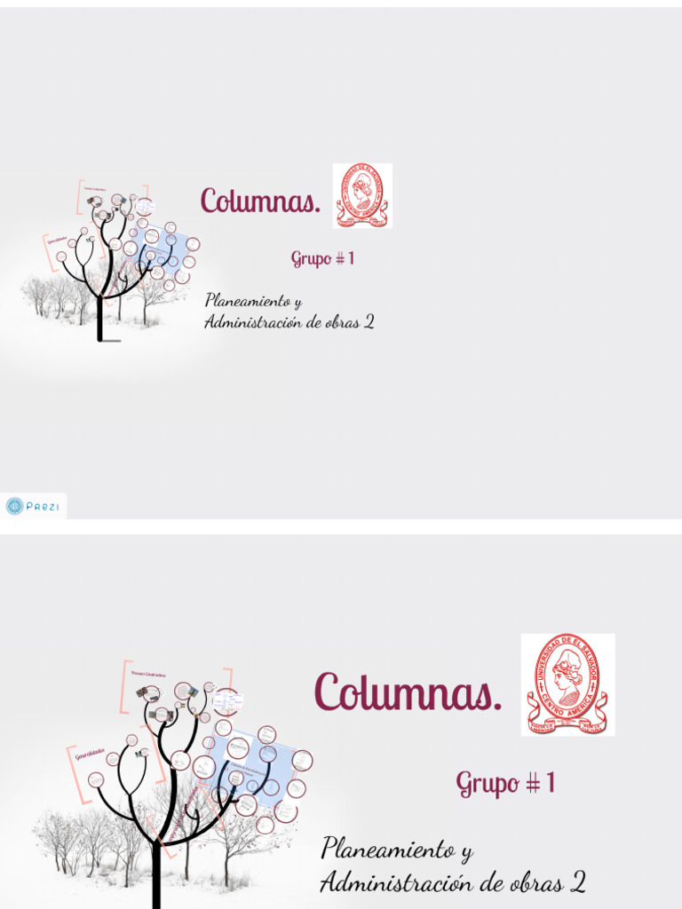 Columnas | PDF