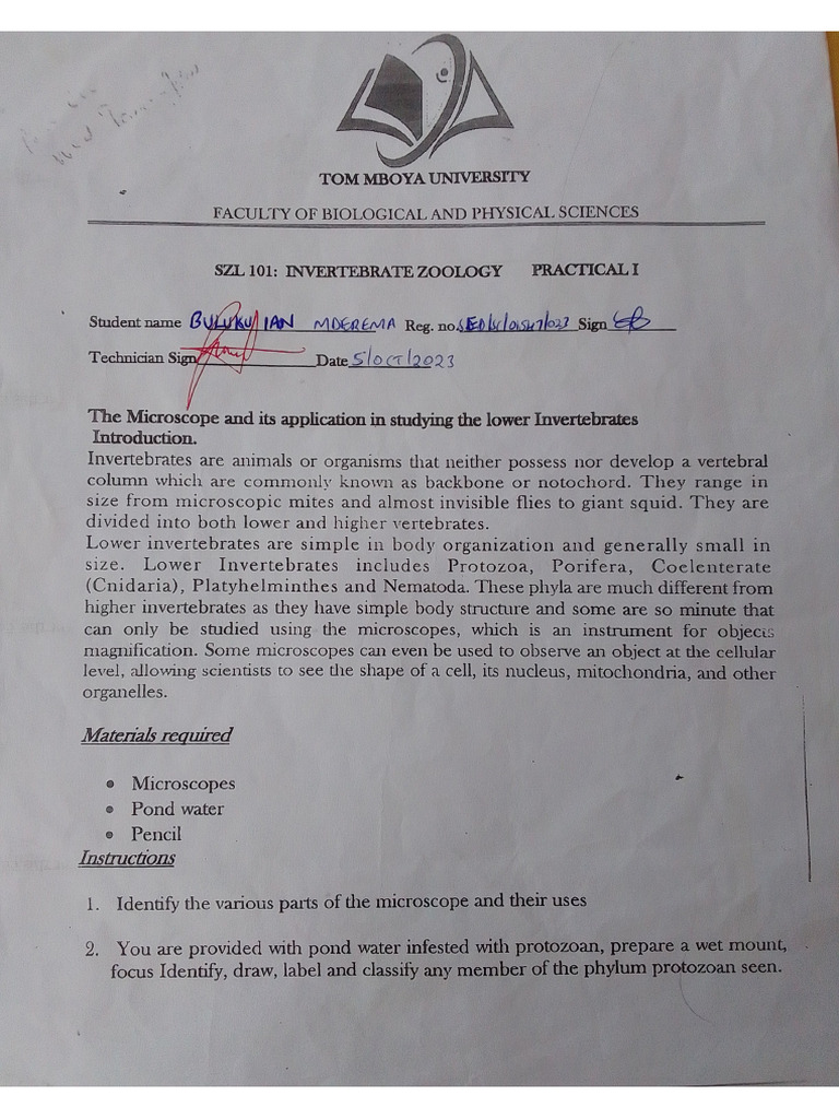 SZL 101 Invertebrate Zoology Prac 1 | PDF