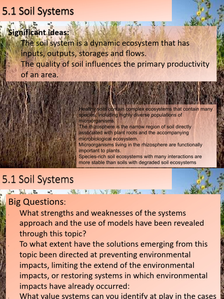 Topic 5 Soil System | PDF | Soil | Organic Matter