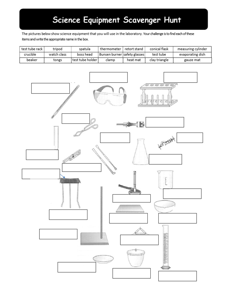 Science Equipment Scavenger Hunt Guide | PDF