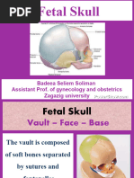 Fetal Skull Diameter Measurements | PDF