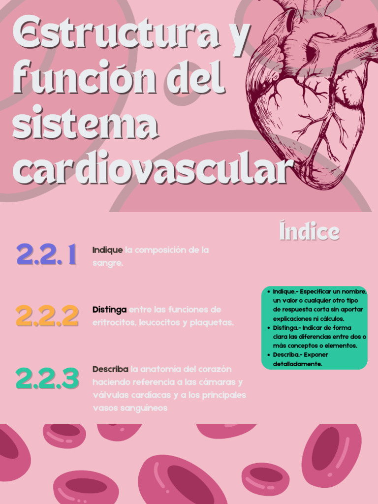 Estructura y Funcion Del Sistema Cardiovascular | PDF | Sangre | Corazón