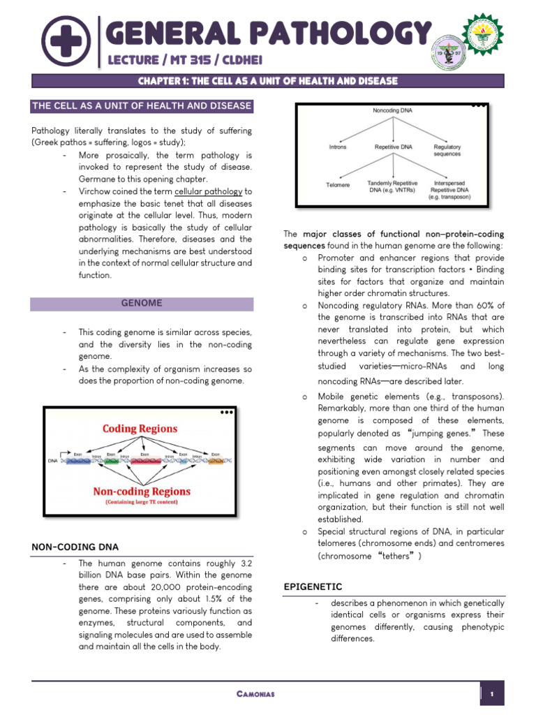 Genpath 1 5 | PDF | Mitochondrion | Lysosome