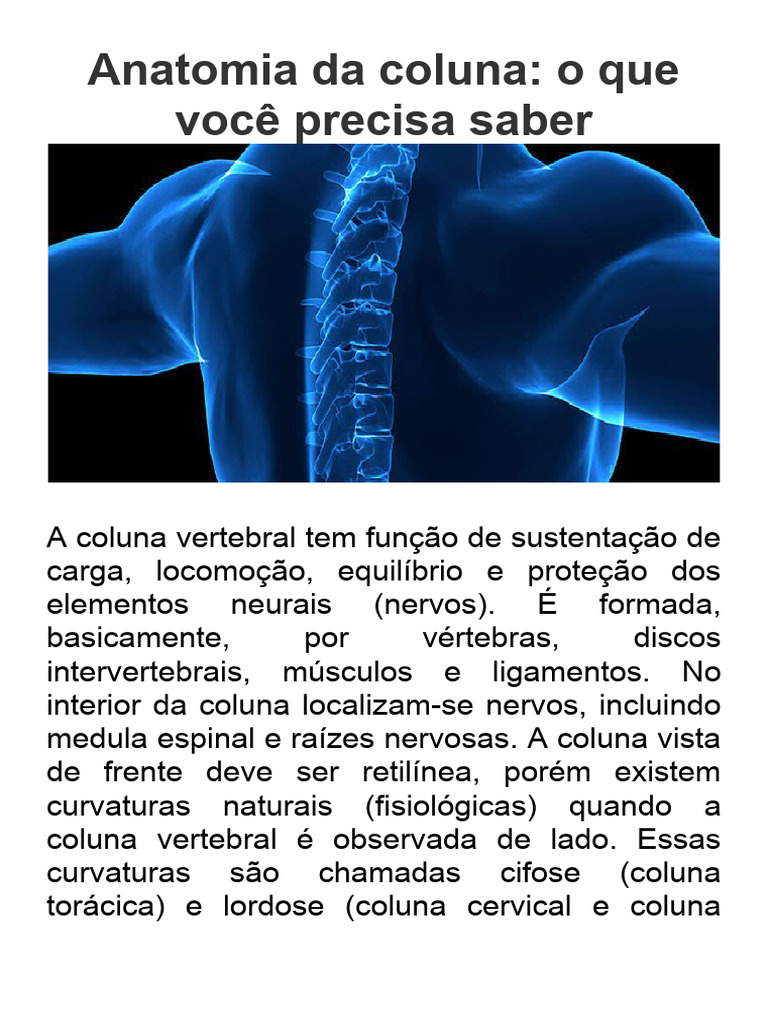 Anatomia da Coluna Vertebral | PDF | Coluna vertebral | Anatomia