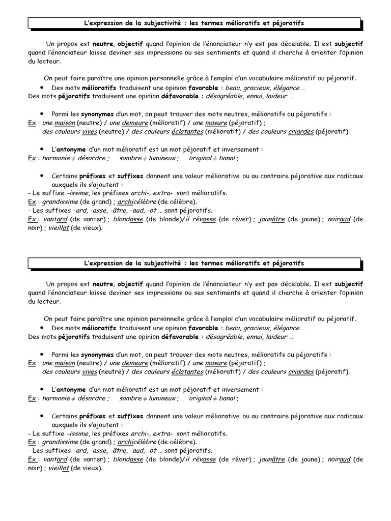 Lecon Sur La Subjectivite 4eme-2 | PDF
