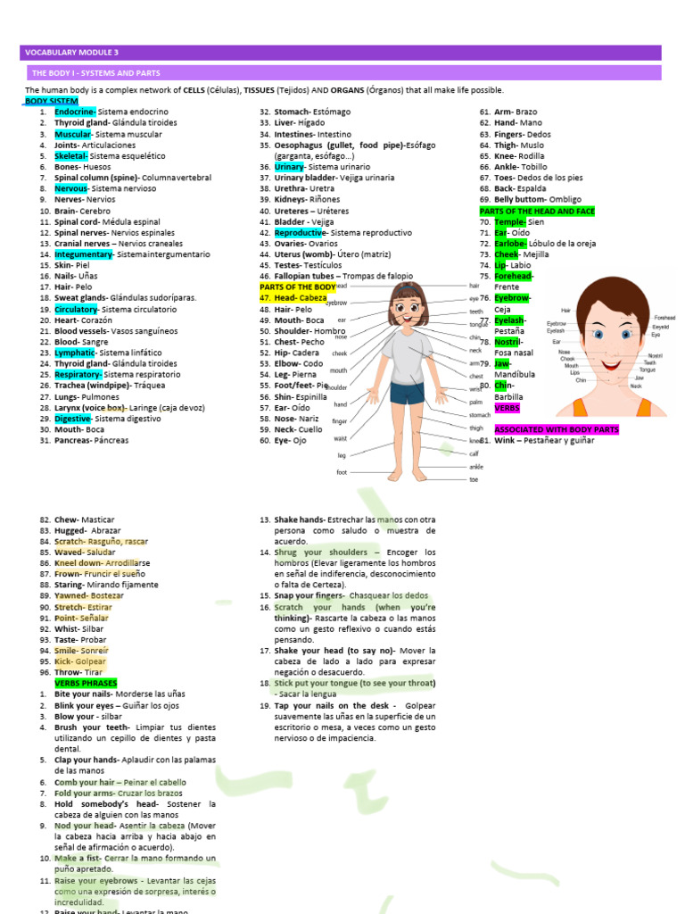 Vocabulary Module 1,2,3 | PDF