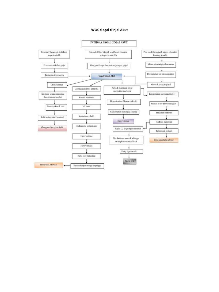 WOC Gagal Ginjal akut | PDF