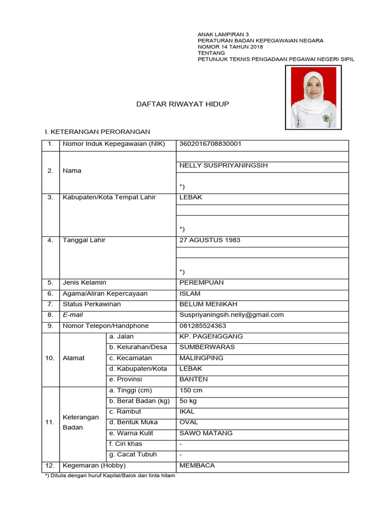 Contoh Daftar Riwayat Hidup PNS | PDF