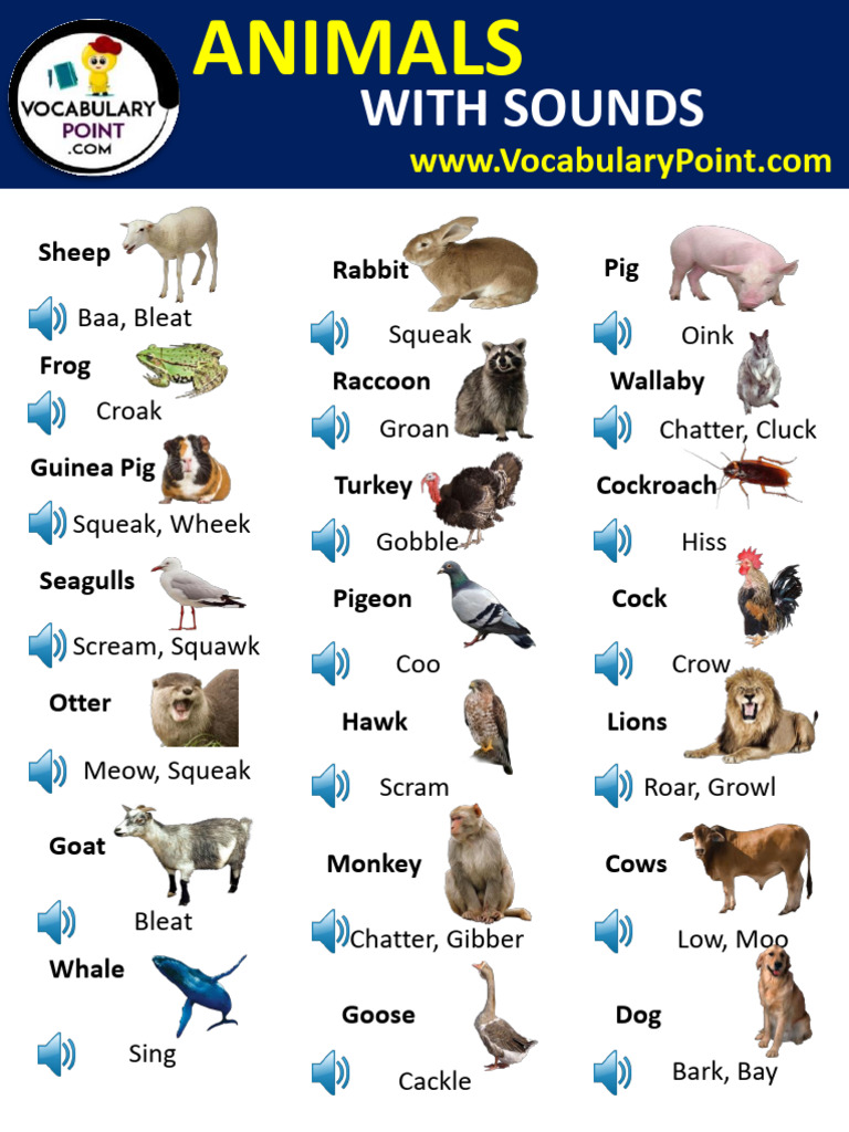 Animal Sounds A to Z Guide | PDF | Organisms | Domesticated Animals