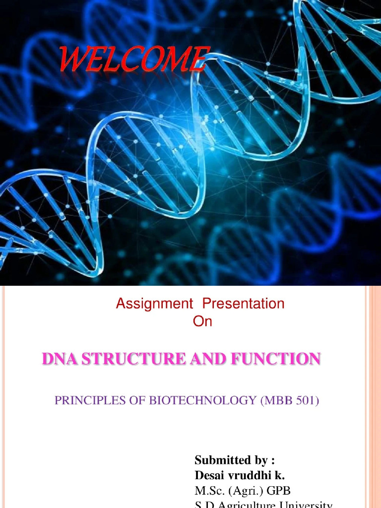 DNA structure | PDF