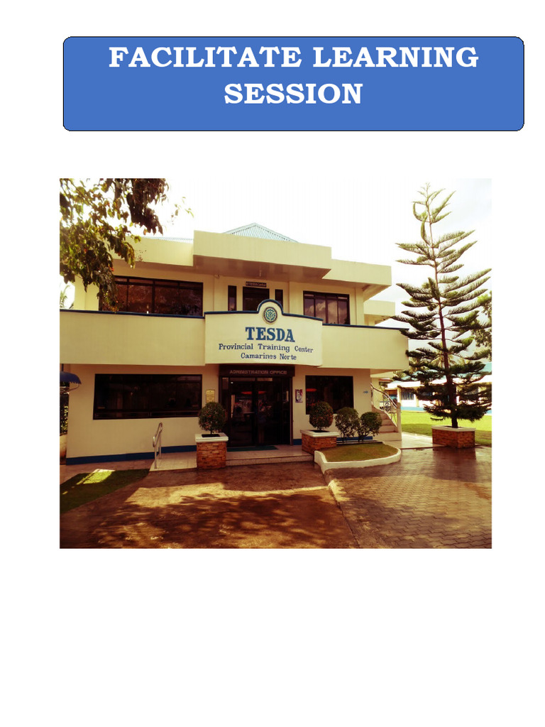 Facilitate Learning Session | PDF | Learning | Cognition