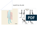 Transverse Plane Exercise Guide | PDF