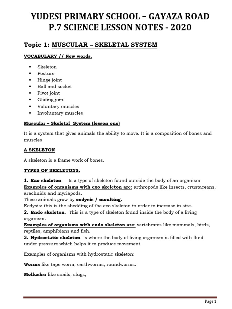p.7 Science Notes Term One 2020 | PDF