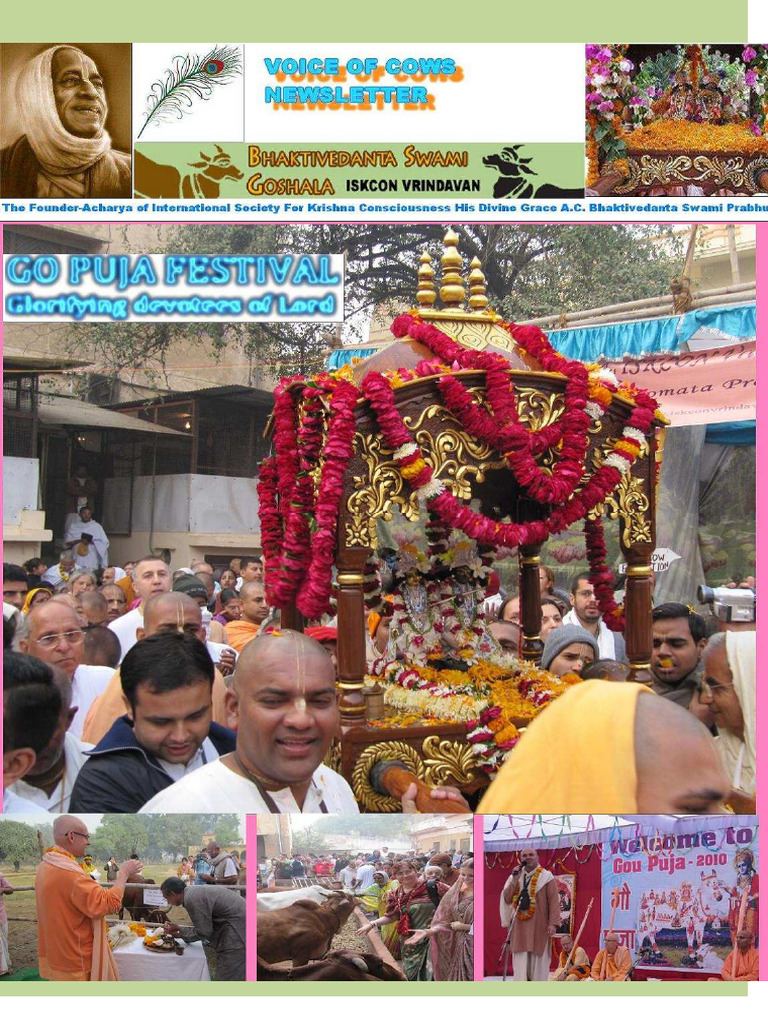 Goshala: Celebrating Cow Worship in Vrindavan | PDF | Krishna | Hinduism