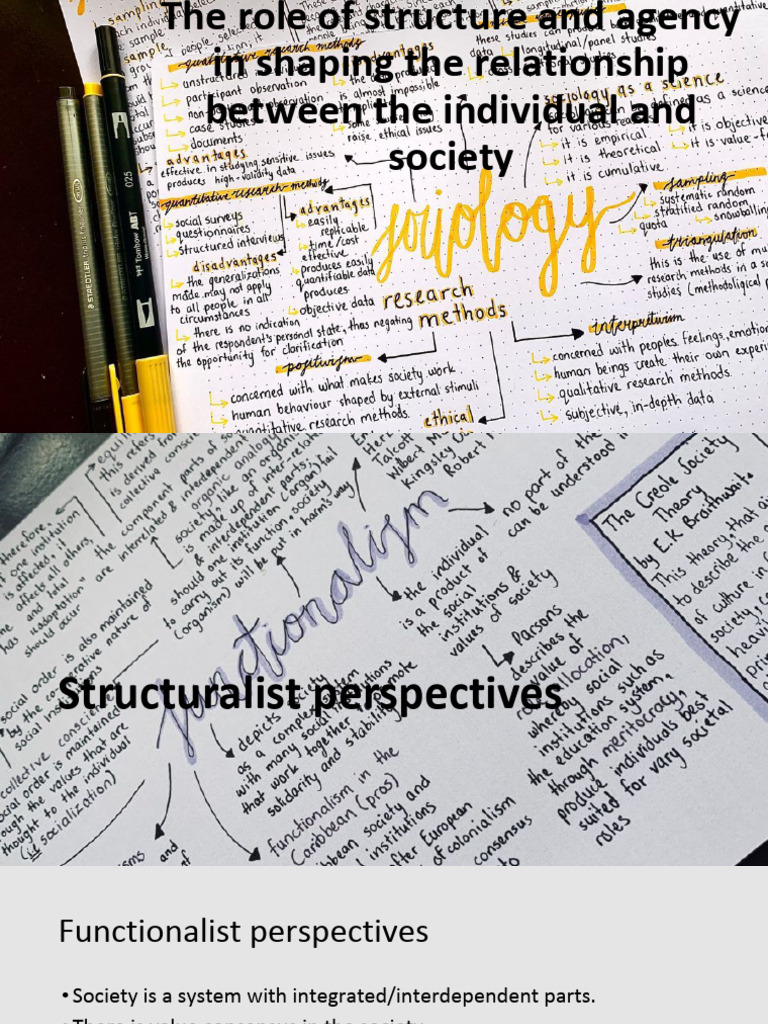 Structure and Agency in Society Dynamics | PDF | Social Structure | Society
