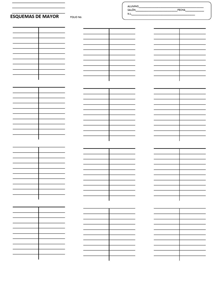 Formato Esquemas de Mayor | PDF