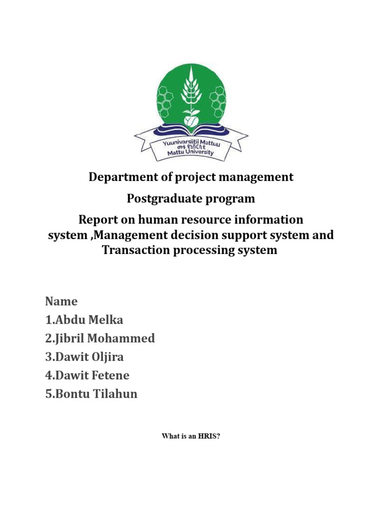 Tps Hris Mdss | PDF | Decision Support System | Intelligence (AI) & Semantics