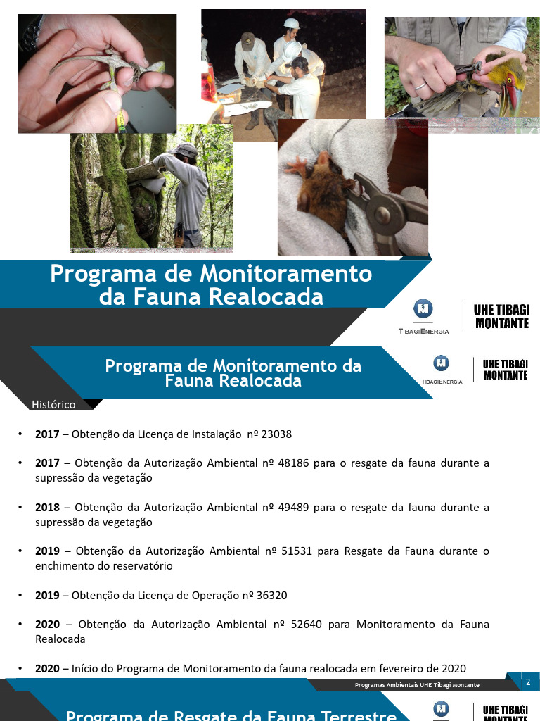 Monitoramento da Fauna Realocada UHE Tibagi | PDF | Biodiversidade ...