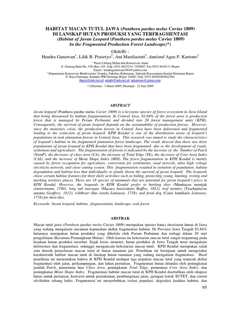Habitat Fragmentation of Javan Leopard | PDF