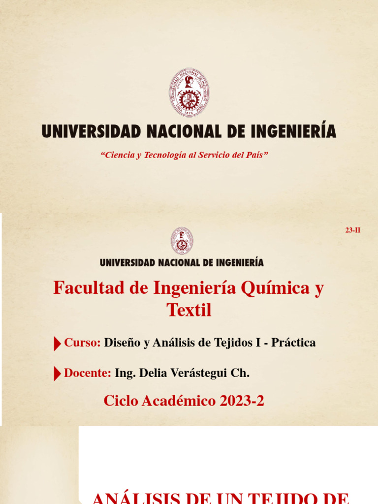 Análisis de Tejidos de Rizo | PDF | Telar | Textiles