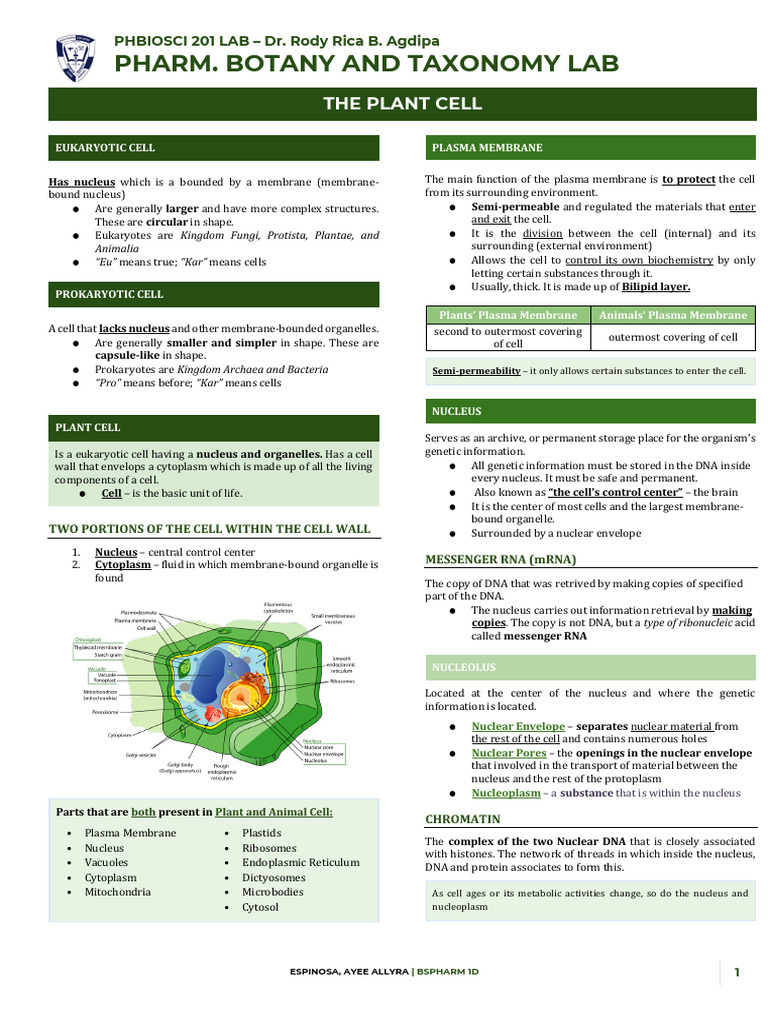 Midterms - Botany Lec - (1) Plant Cells | PDF | Cell (Biology) | Chloroplast