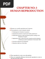 Reproduction in Human Beings | PDF | Menstrual Cycle | Mammal ...