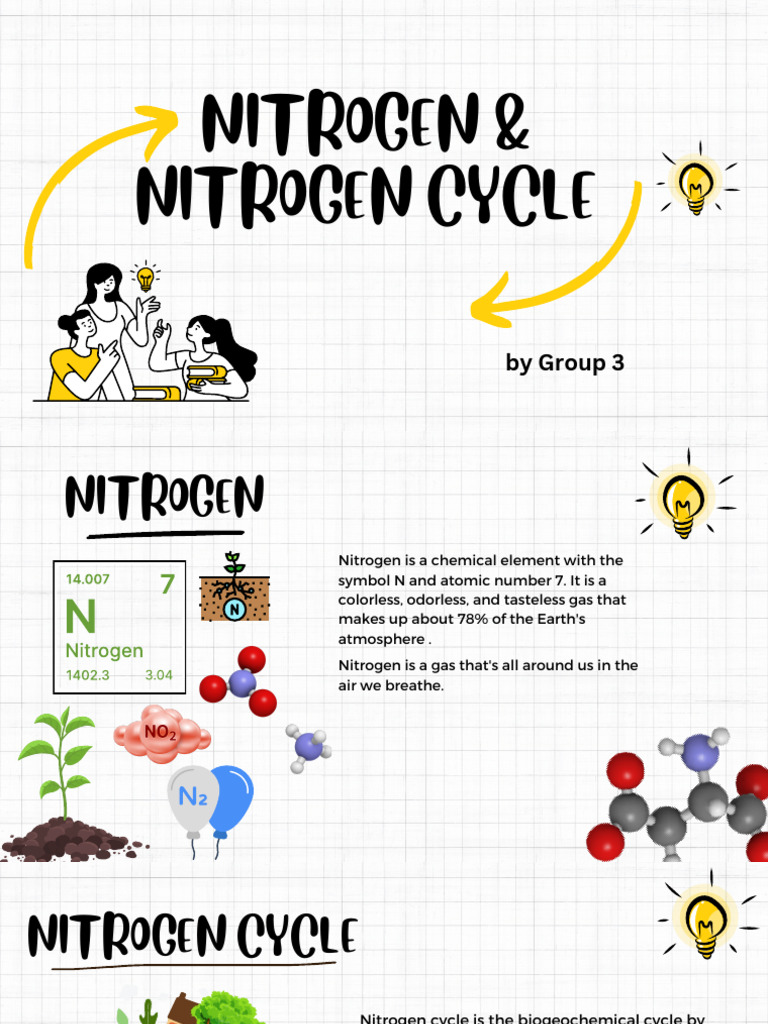 Nitrogen Cycle and Its Importance | PDF | Nitrogen | Environmental Science