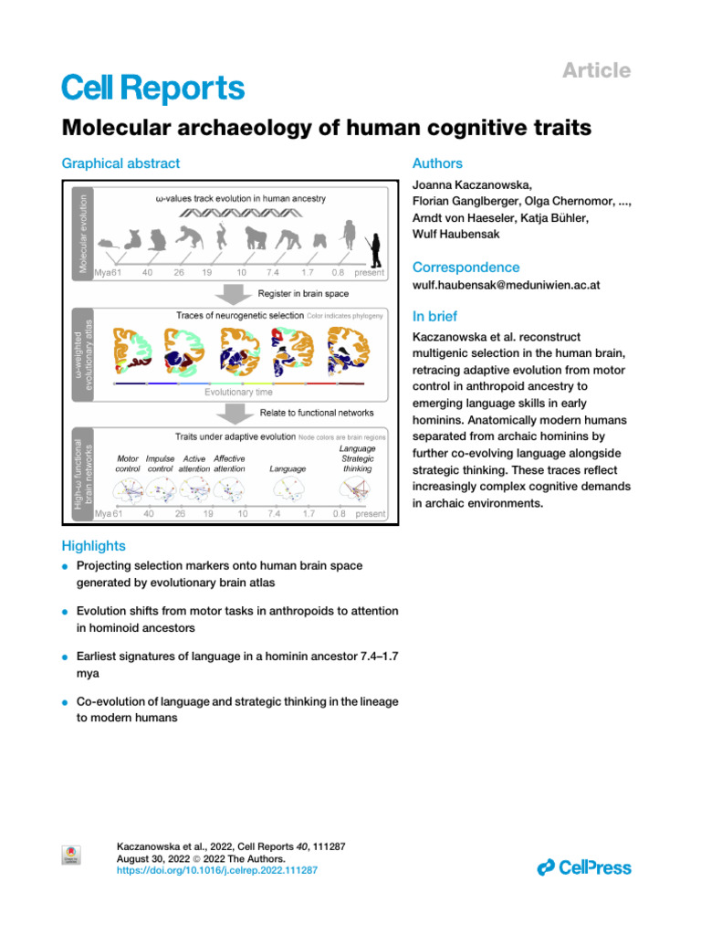 Molecular Archaeology of Human Cognitive Traits | PDF | Cerebral Cortex ...