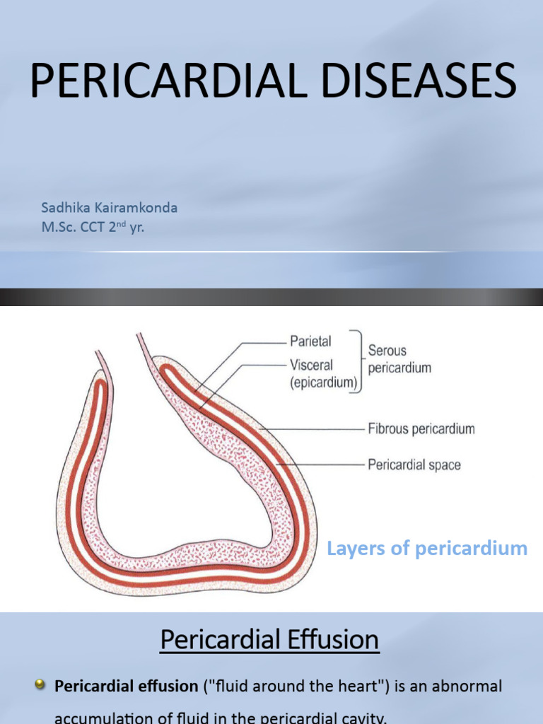 Pericardial Diseases 3rd Yr BMT | PDF | Heart | Circulatory System