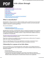 Irish Citizenship Application Proofs Guide | PDF | Affidavit | Identity ...