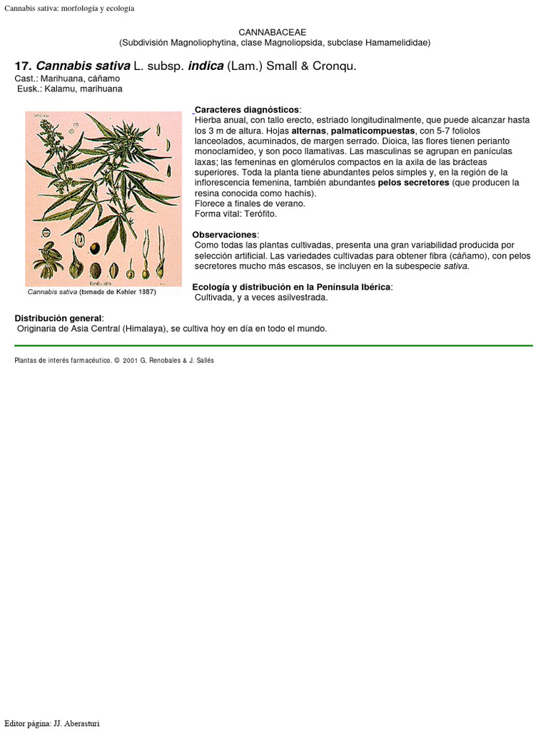 Cannabis Sativa Descargar Gratis Pdf Canabis Botánica