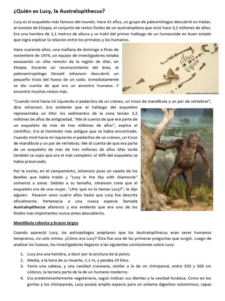 Lucy | PDF | Lucy (Australopithecus) | Humano