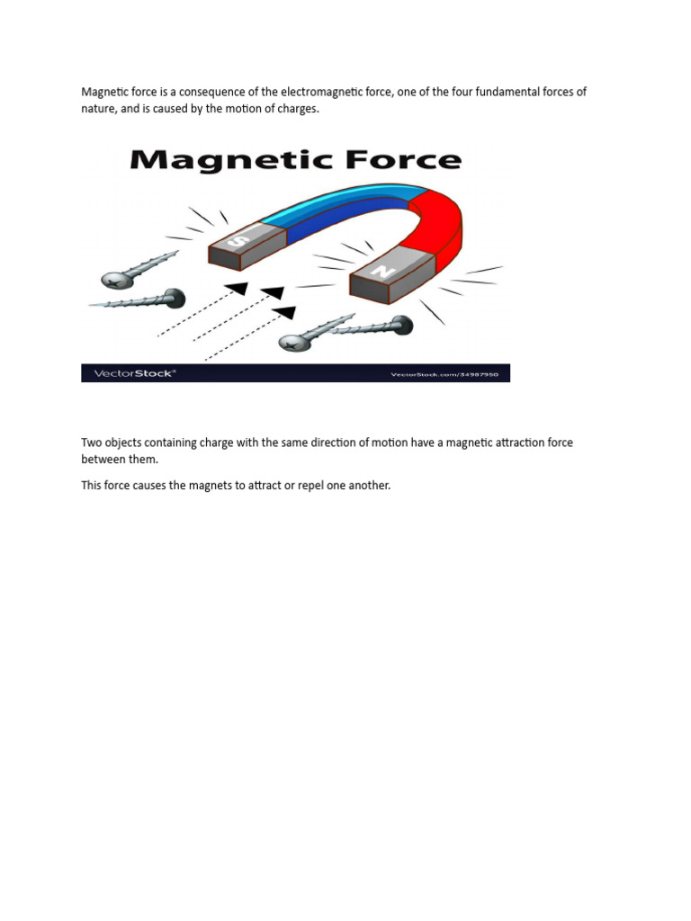 Magnetic Force | PDF | Science & Mathematics | Young Adult