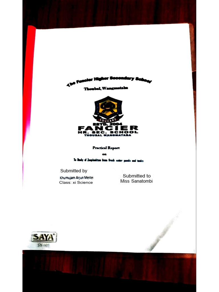 Project Ki | Download Free PDF | Methodology