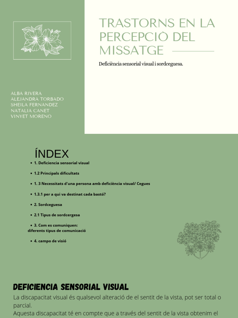 Trastorn en La Percepció | PDF