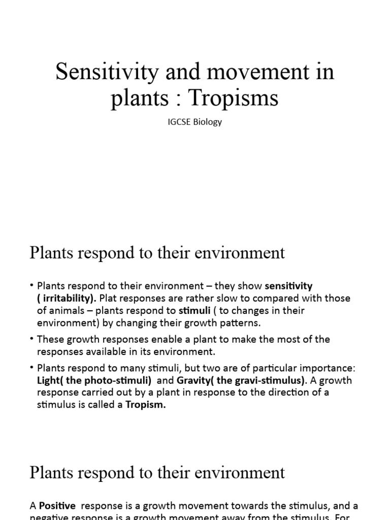 Sensitivity and Movement in Plants | PDF | Auxin | Biology