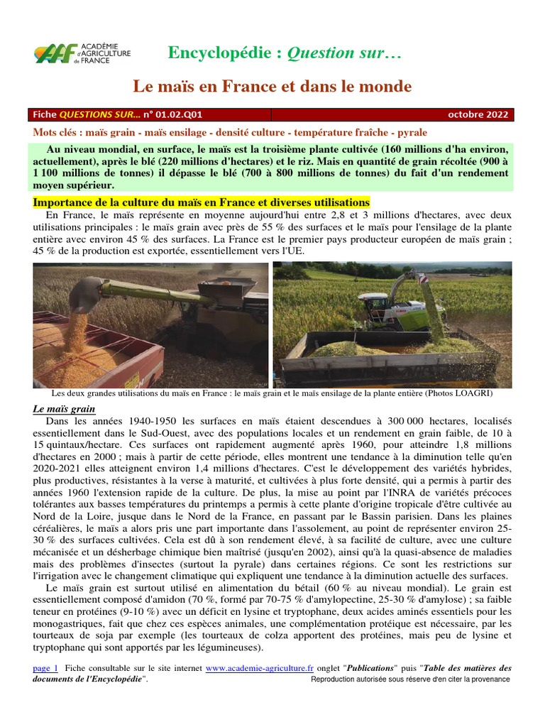 Importance et évolution du maïs en France | PDF | Maïs | Céréale