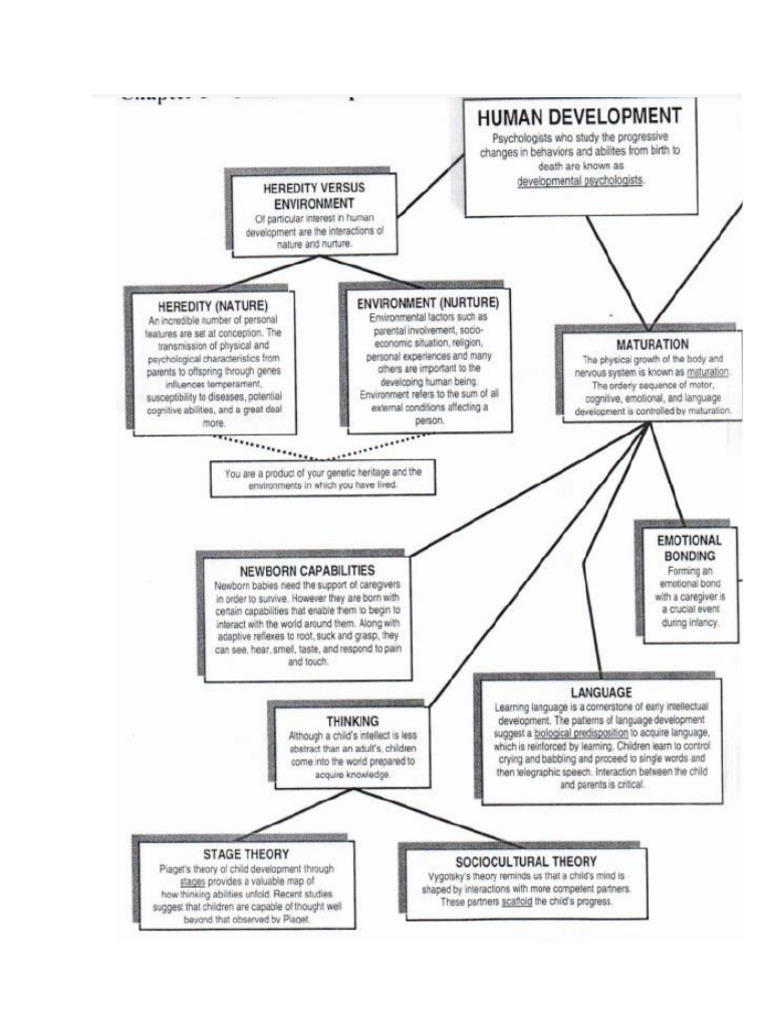 Child Development | PDF